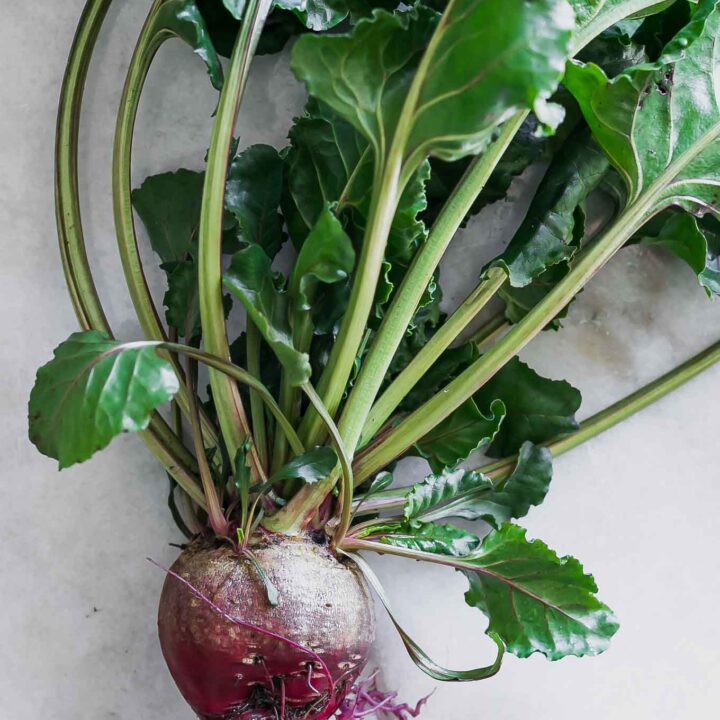 How to Store Beets (4 Ways!) ⋆ Pantry, Fridge, Freezer, and Preserving!