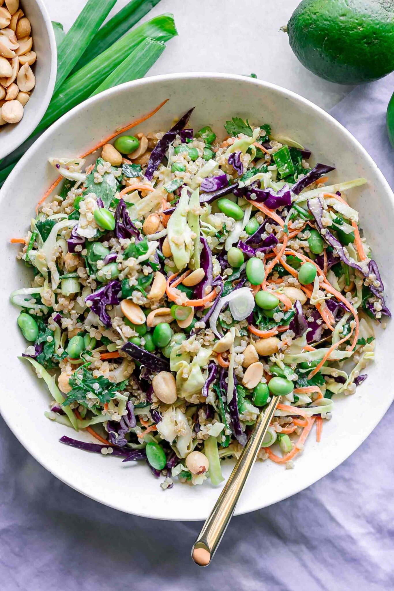 Quinoa Cabbage Crunch Salad ⋆ Fork in the Road